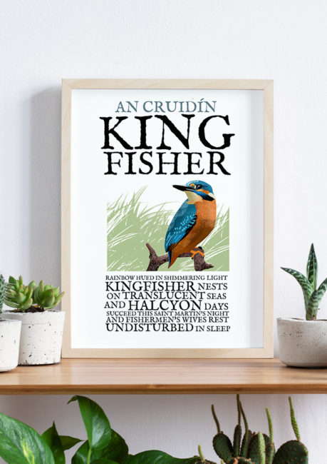The Kingfisher - Ireland Posters.ie