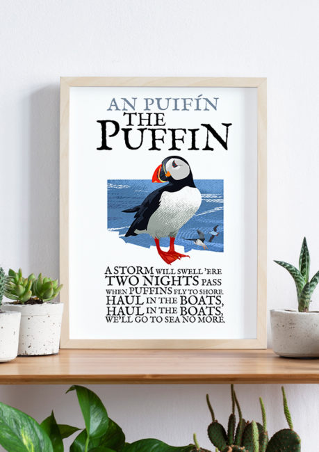 The Puffin - Ireland Posters.ie